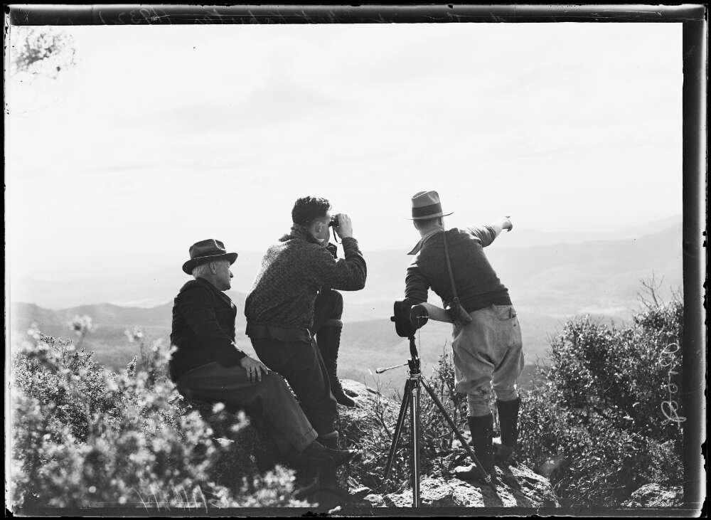 Introduction to Trove searching | National Library of Australia (NLA)