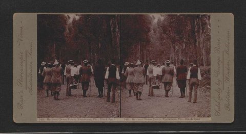 Photographs of the anti-fashion Rational Dress Movement | National ...