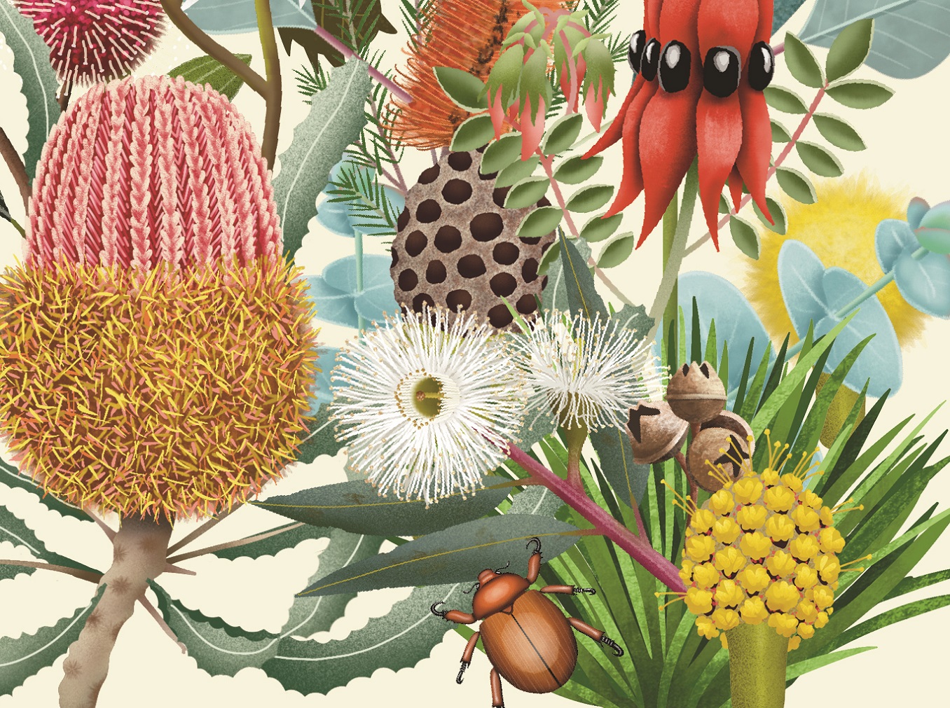 Uncover the wonders of Australia’s plants with Tania McCartney’s latest ...