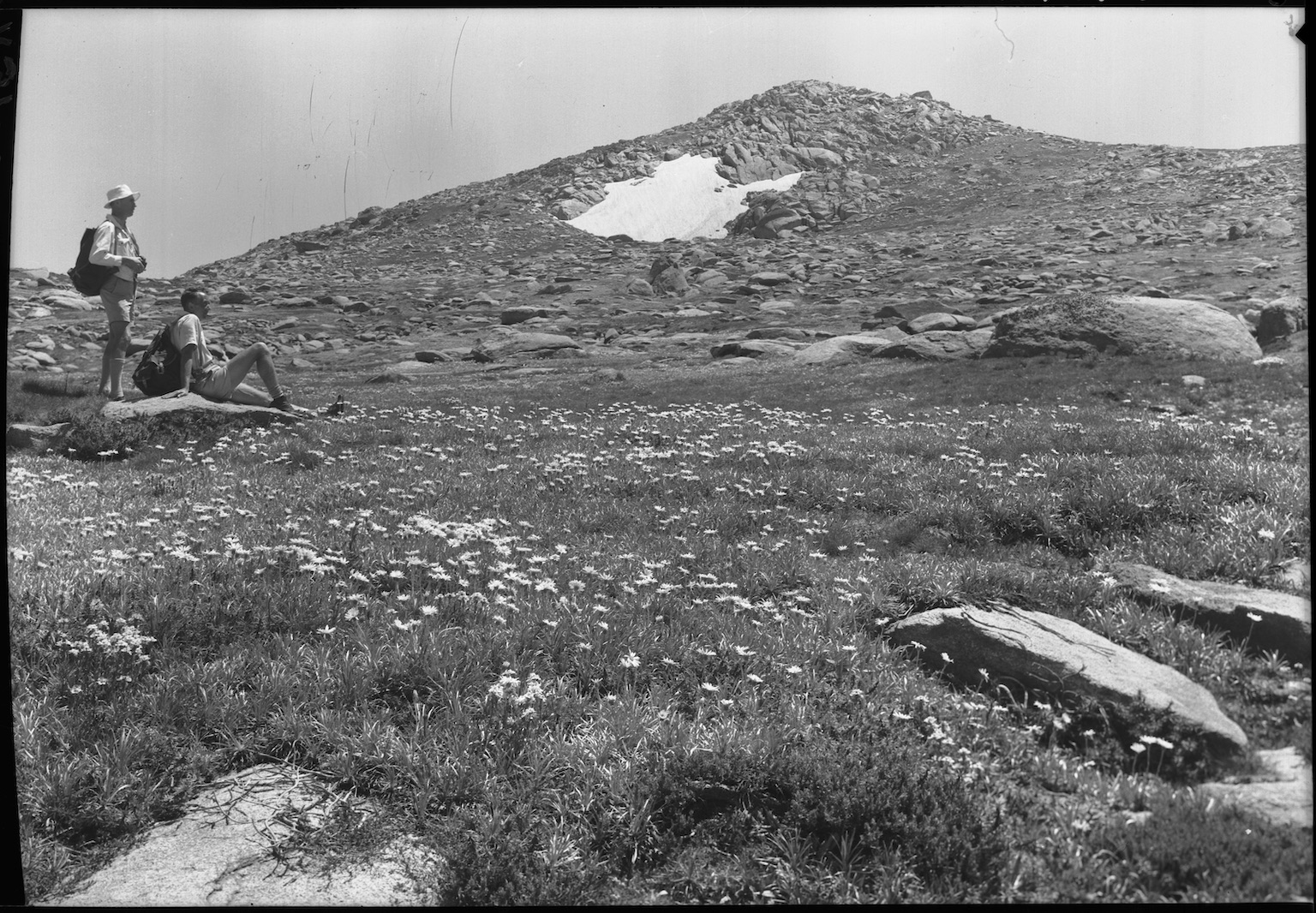 Researching 'Townsend of the Ranges' | National Library of Australia (NLA)