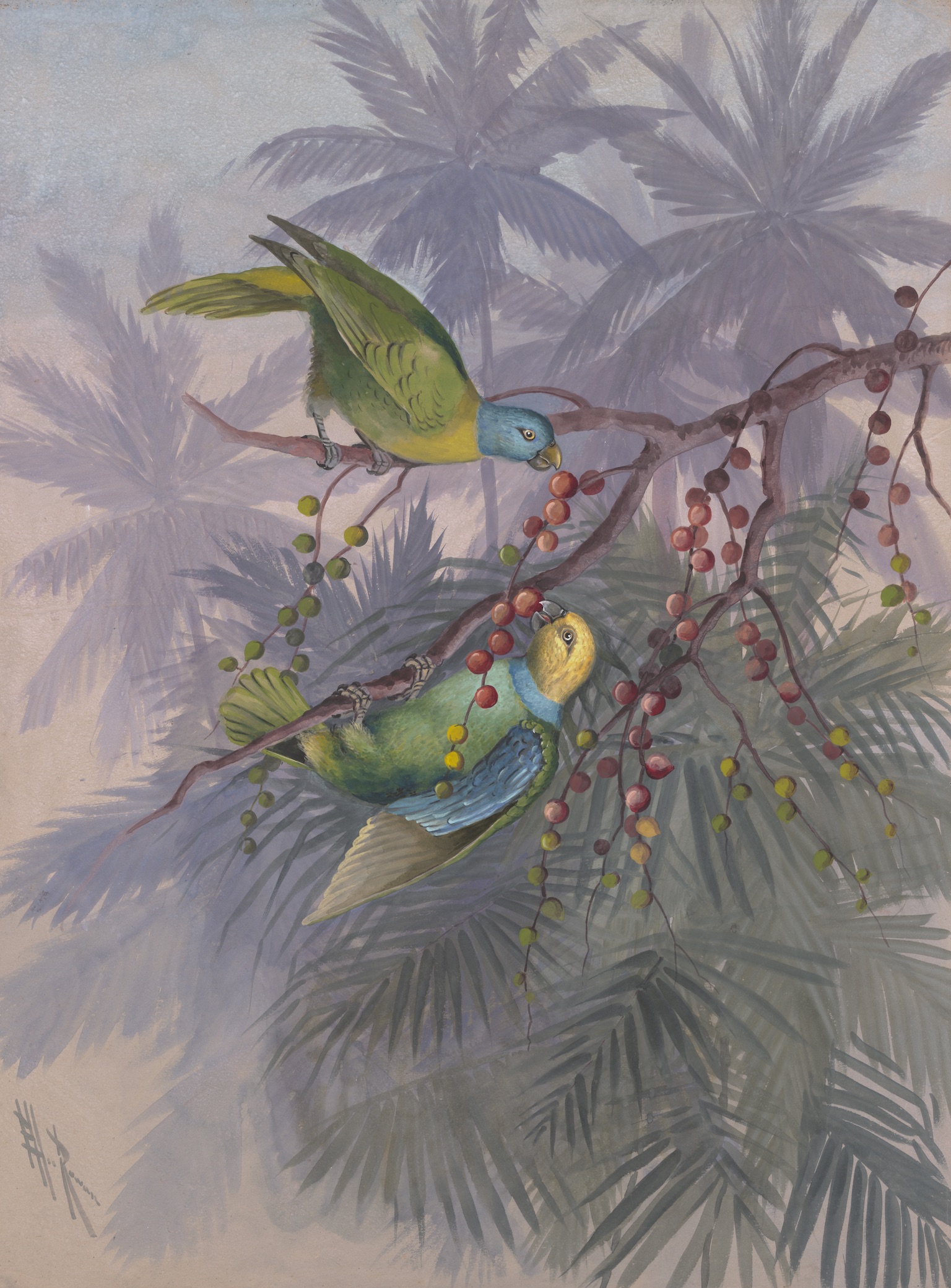 Ellis Rowan Collection | National Library of Australia (NLA)